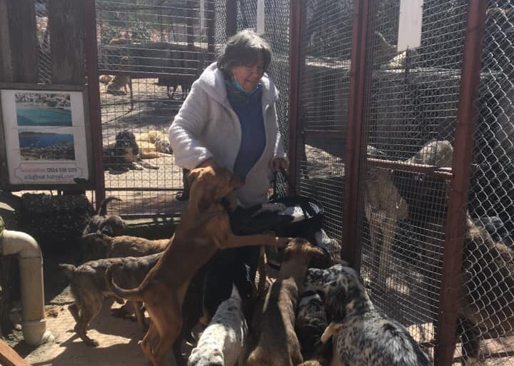 KDF op social media - Kasdogfoundation